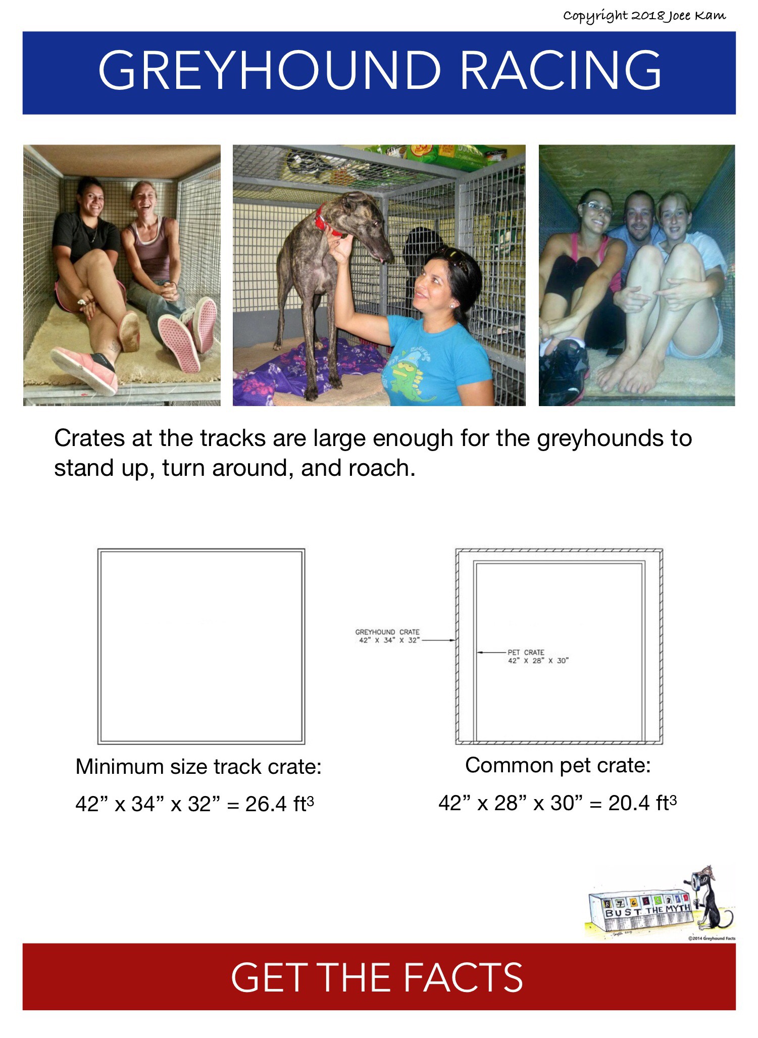 Kennel Life – Greyhound Facts