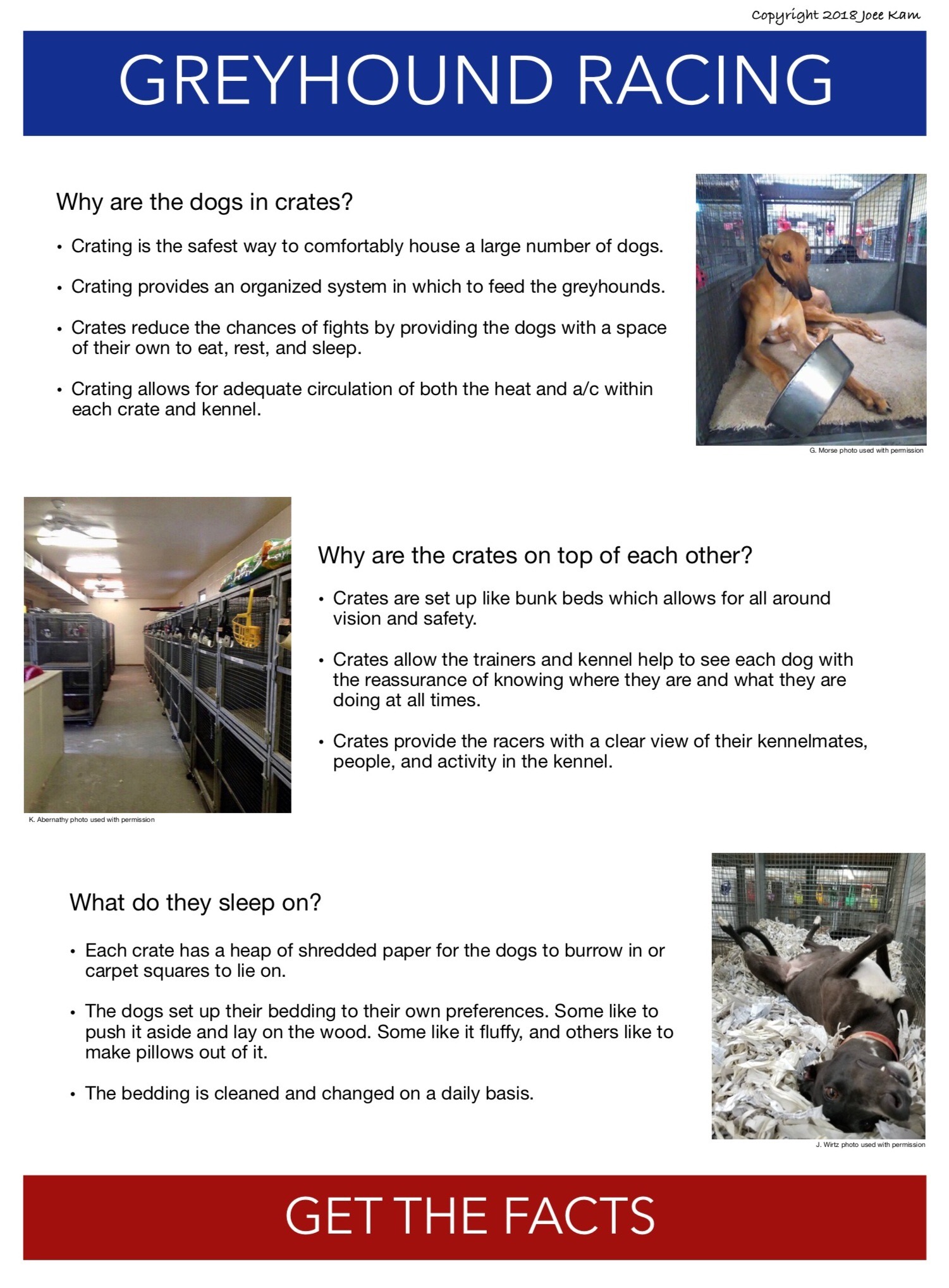 Kennel Life – Greyhound Facts