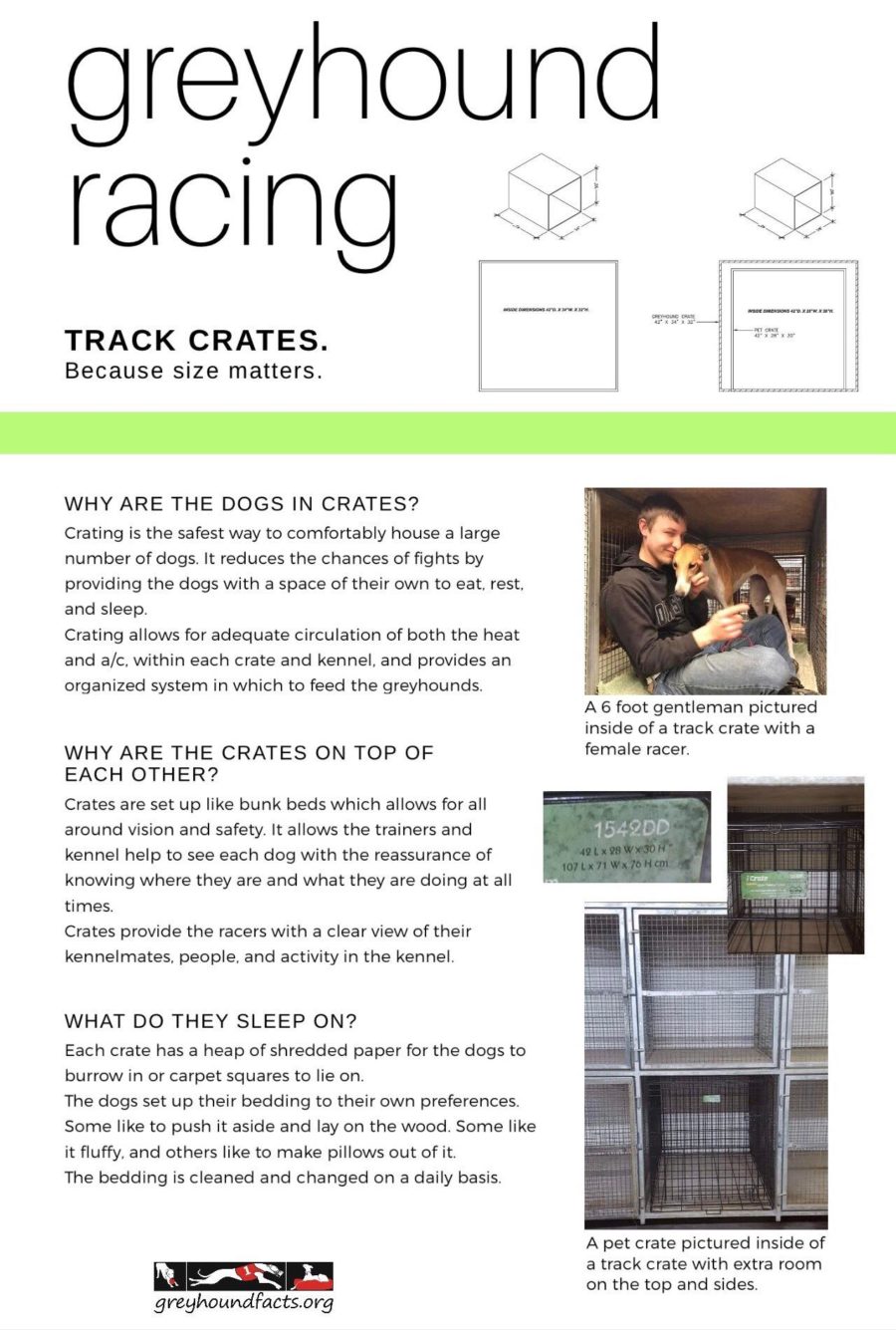 Kennel Life – Greyhound Facts